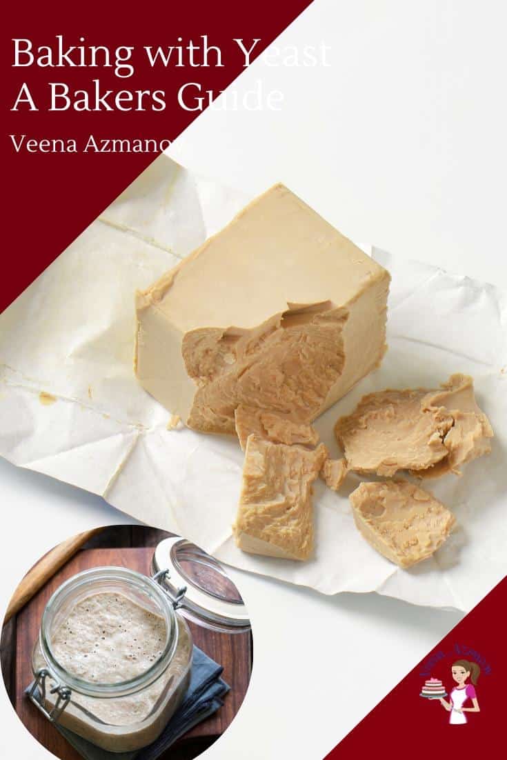 A Beginners Guide to Baking with Yeast - Veena Azmanov Kitchen