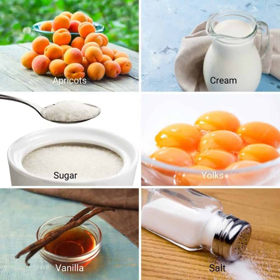 Fresh Apricot Crème Brûlée Recipe | Fruity Twist on a Classic- Veena ...