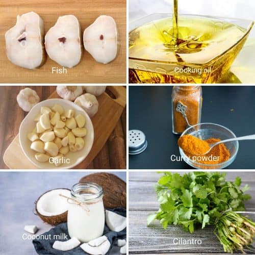 Easy Fish Curry with Just 6 Ingredients in just 15 Mins - Veena Azmanov ...