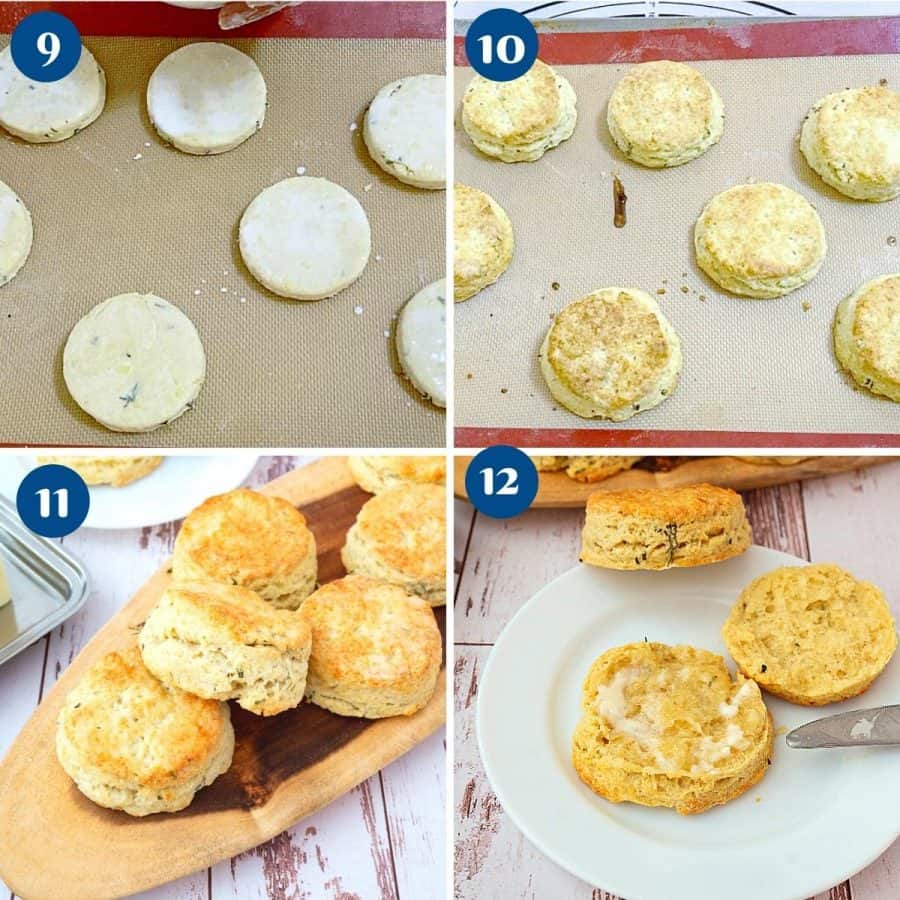 Cheddar Cheese Biscuits with Herbs in 30 Mins - Veena Azmanov Kitchen