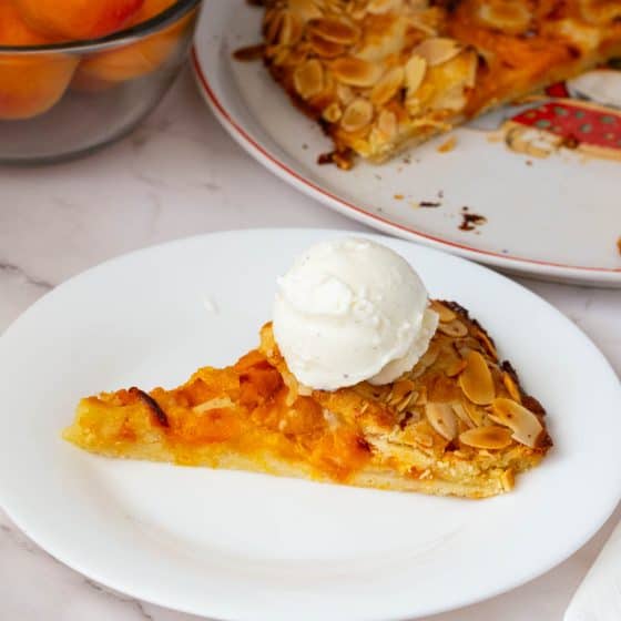Apricot Galette Recipe - The Perfect Summer Dessert- Veena Azmanov Kitchen