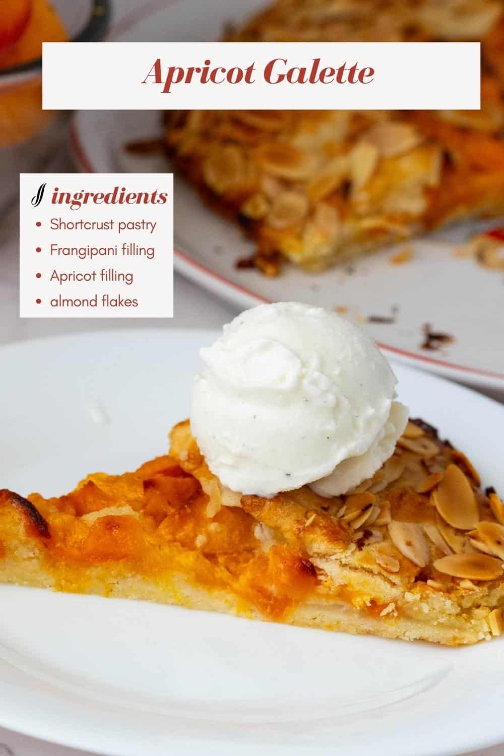 Apricot Galette Recipe - The Perfect Summer Dessert- Veena Azmanov Kitchen