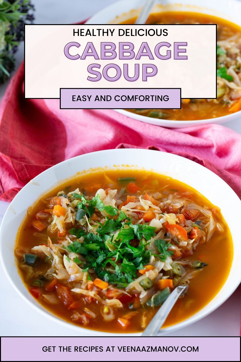 Healthy Cabbage Soup